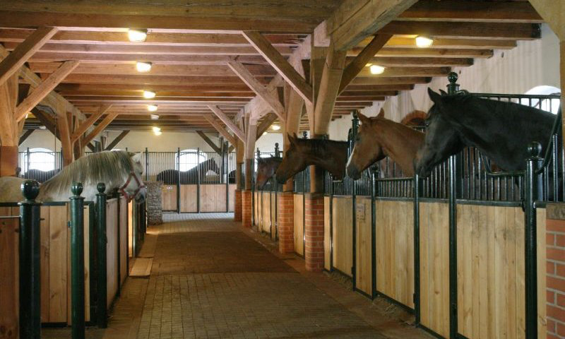 Equestrian Vacation: Jumping in Poland - STABLE STYLE