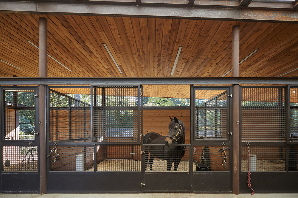 Tour a Modern Equestrian Estate in the Pacific Northwest - STABLE STYLE