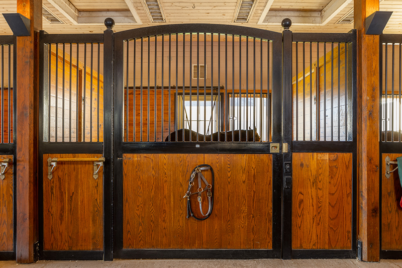 Lucas Equine Horse Stalls