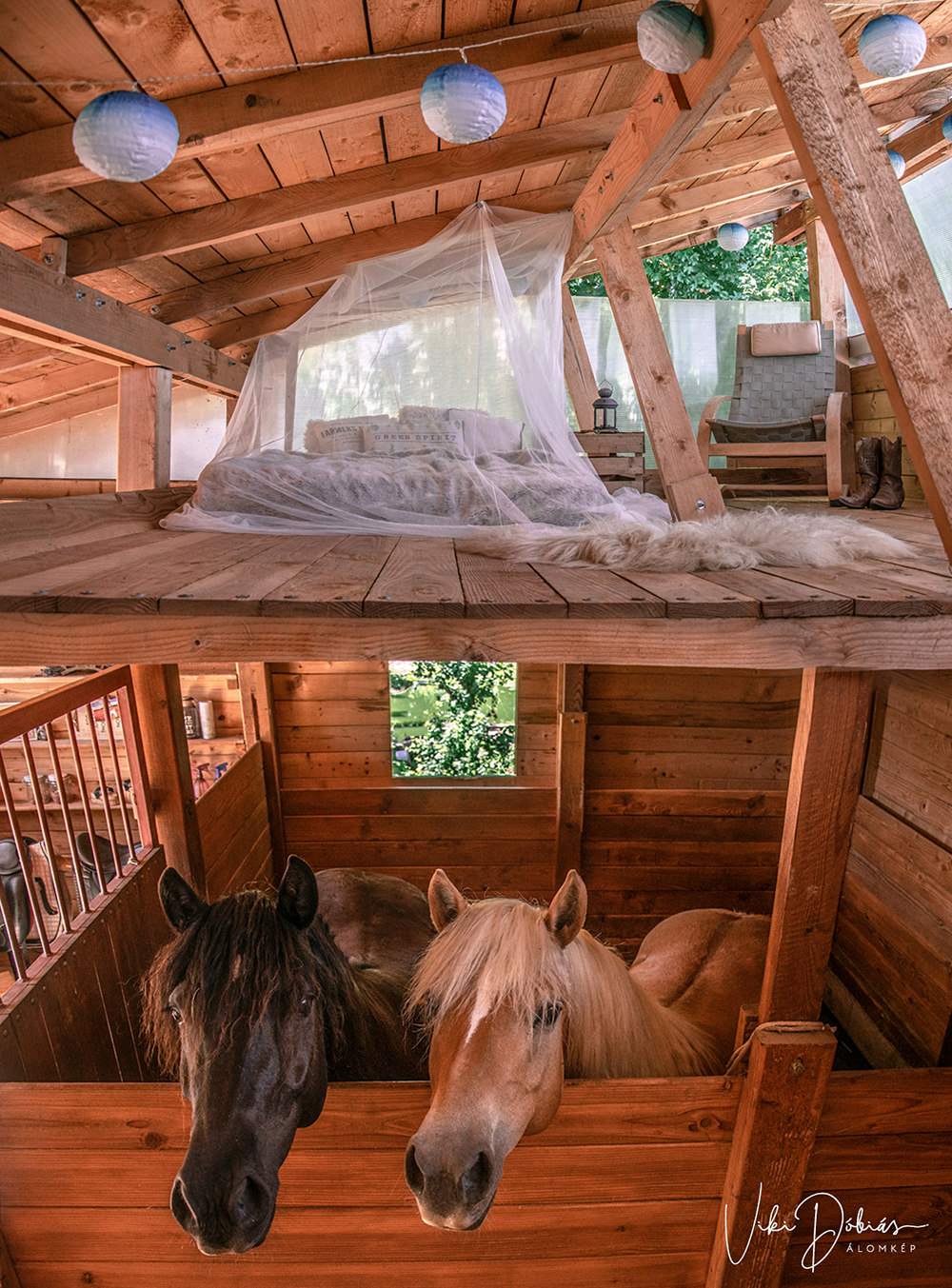 Tour a Magical Horse Property in Hungary - STABLE STYLE