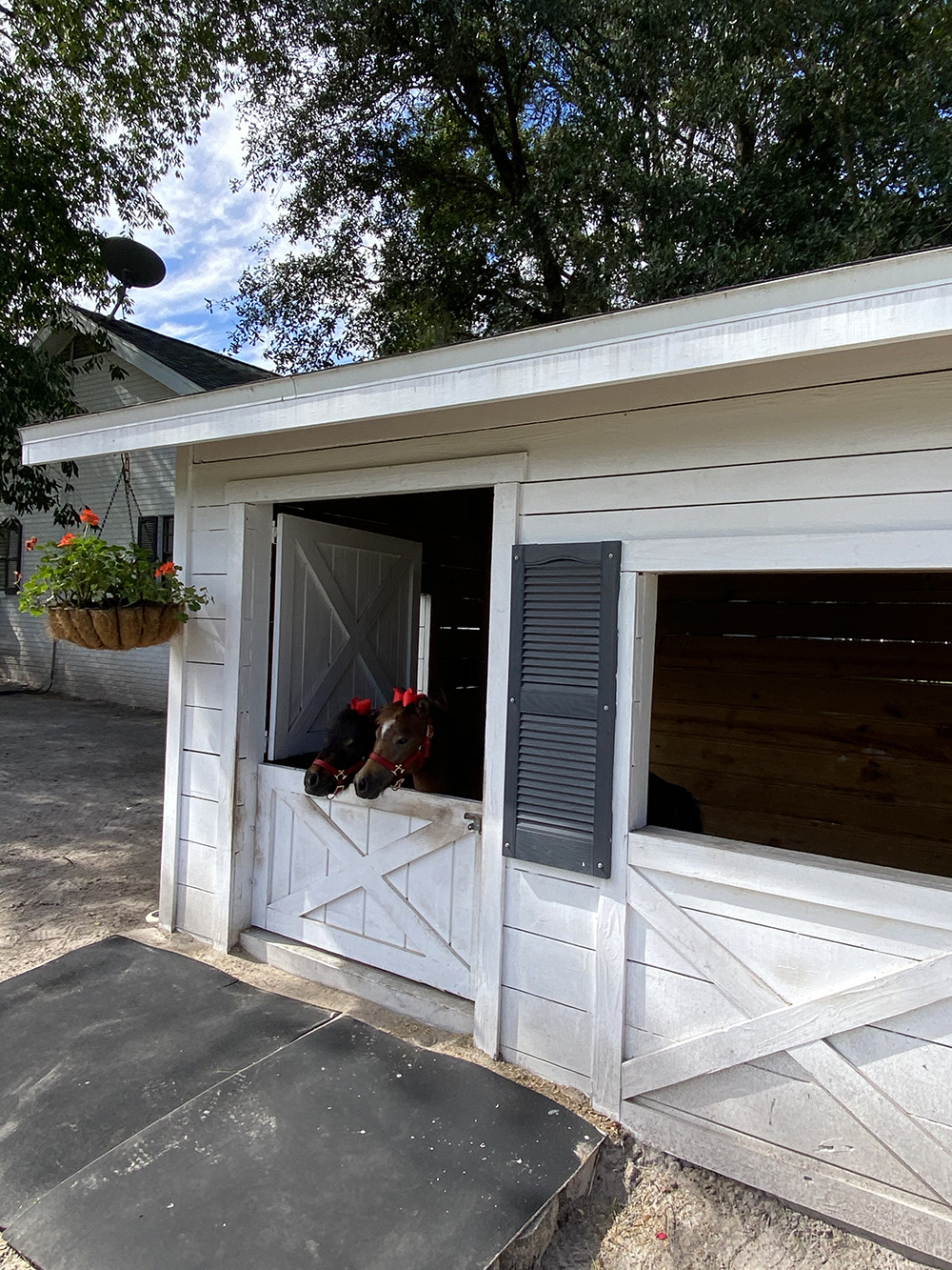 A White Barn is Perfect for its Miniature Residents - STABLE STYLE