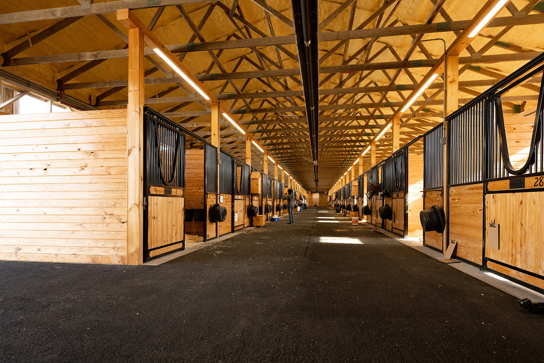 GMP Farm, a Dream Facility for Rehabilitation & Conditioning - STABLE STYLE