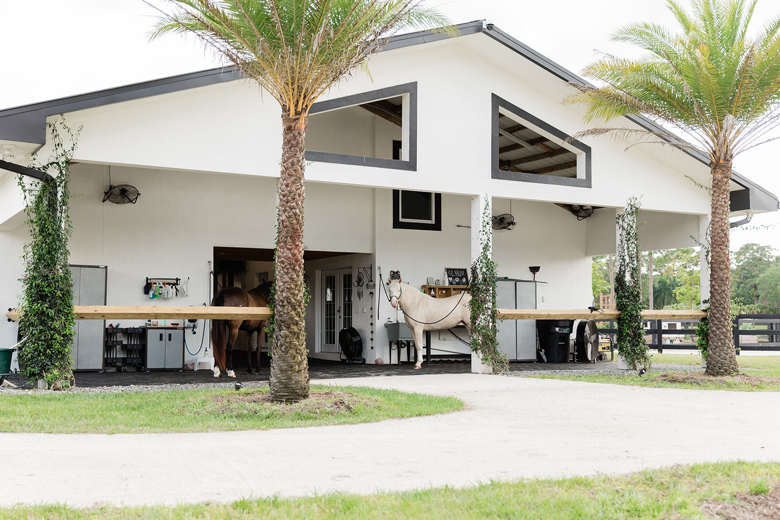 A Florida Farm is a Haven for Animals - STABLE STYLE